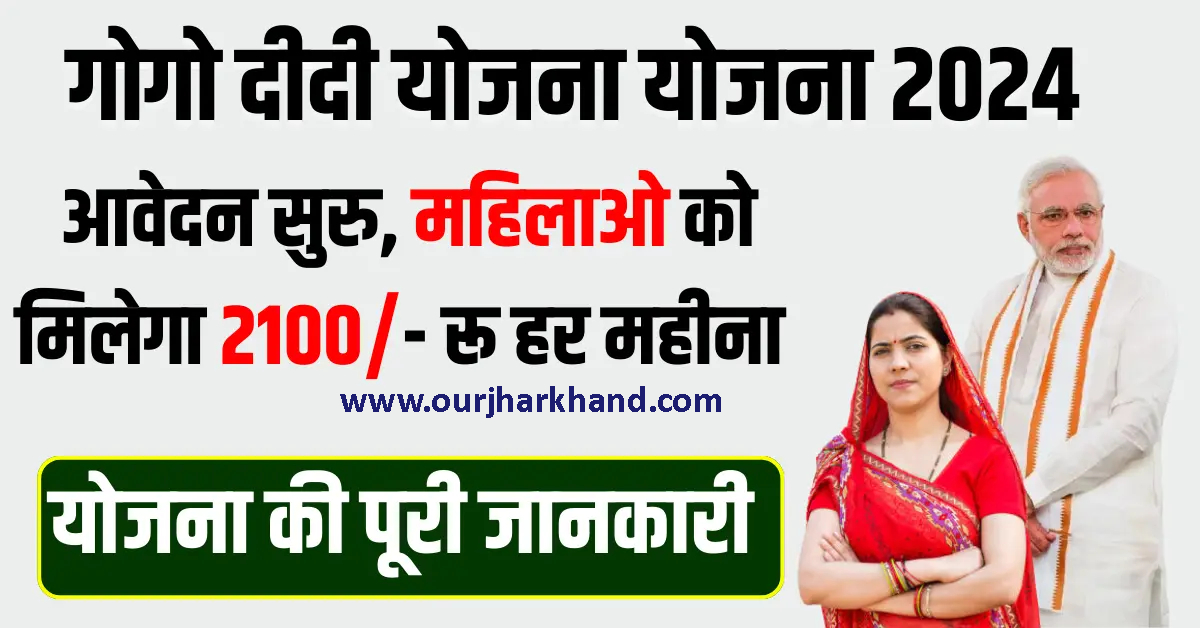 GoGo DiDi Portal, Step-by-Step Login and Features Explained